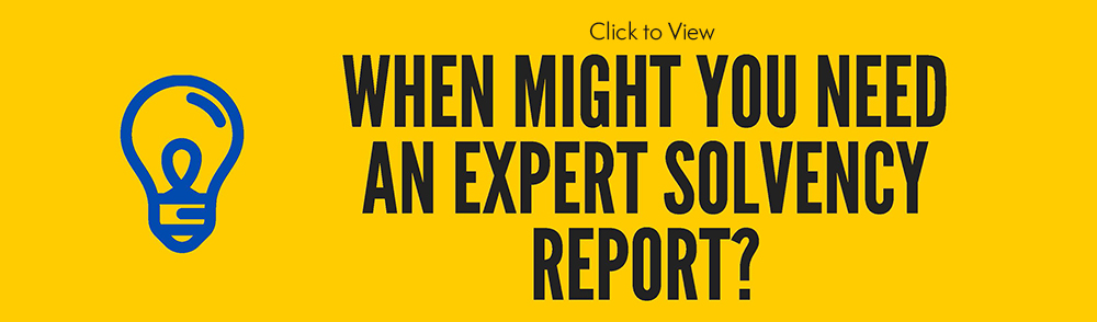 The Power of the Expert Solvency Report | SV Partners Website