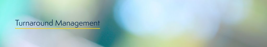 Turnaround Management Services | SV Partners