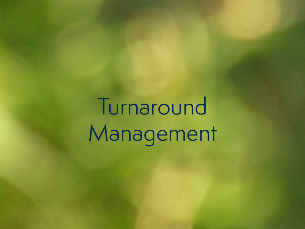 Turnaround Management Services | SV Partners