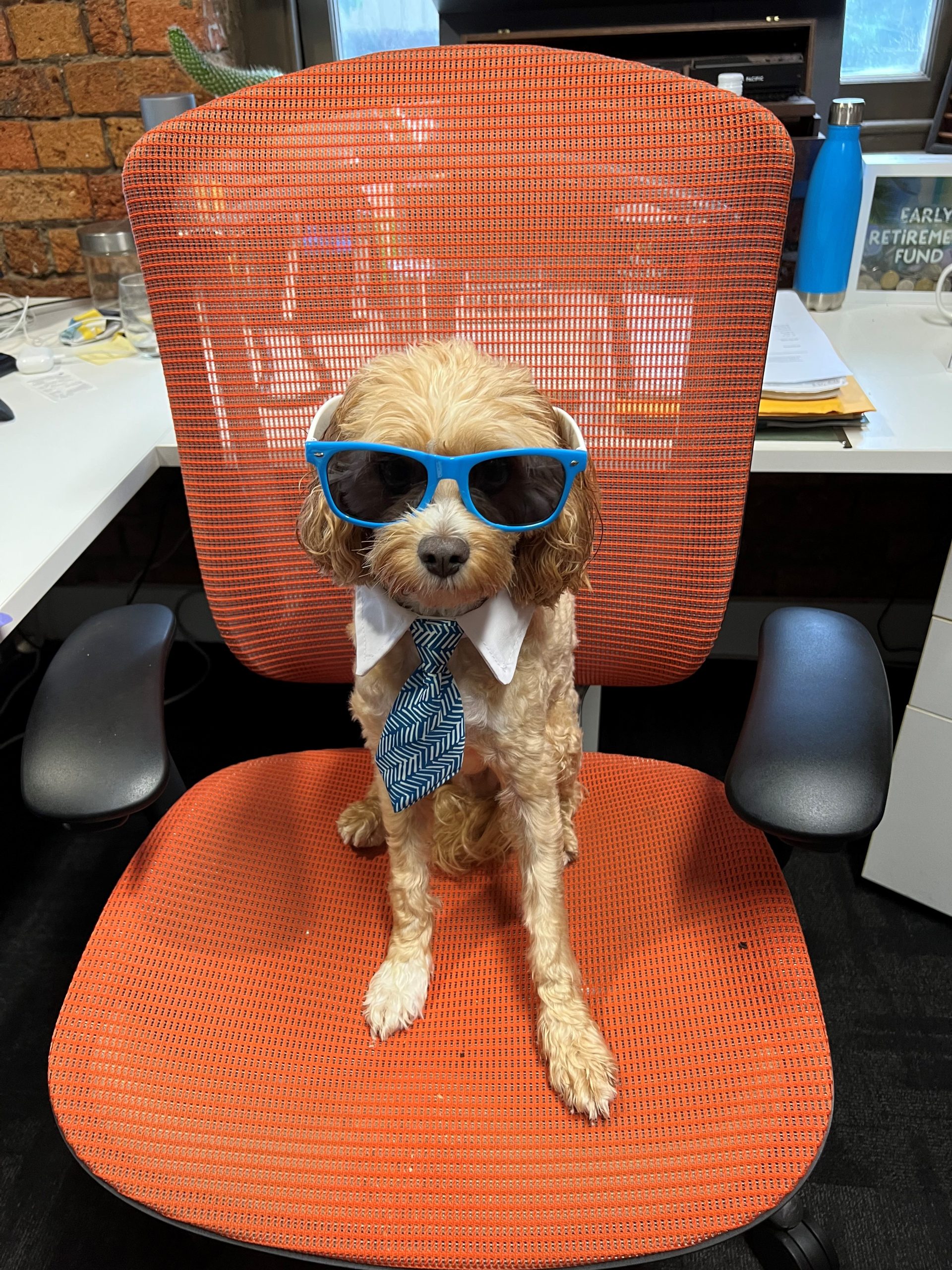 Graduate Program - SV Partners